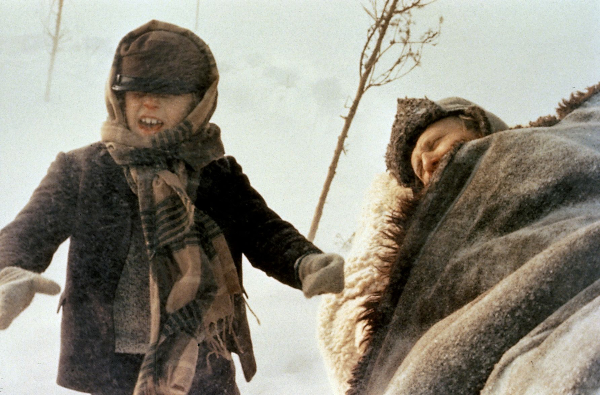 Nye Løjer med Emil fra Lønneberg